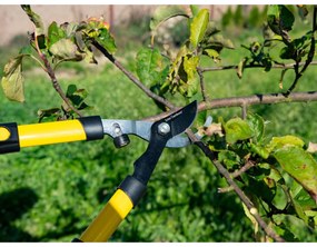 Nůžky na větve teleskopické pákové GEKO, 655-900 mm