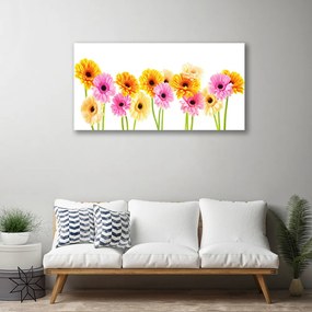 Obraz na plátně Barevné Květiny Gerbery 100x50 cm