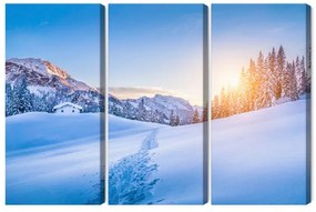 Vícedílný obraz Alpy V Zimním Období 3D Nedostatek Nedostatek Plátno Canvas 60x40