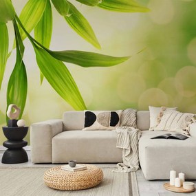 Fototapeta Zelené listy bambusu - přirozený detail rostlin na světlém pozadí