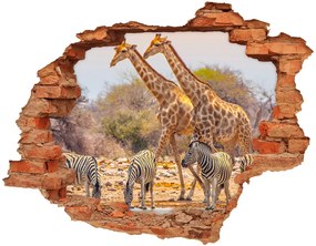 Wallmuralia Díra 3D fototapeta nálepka Žirafy a zebry 90x70 cm