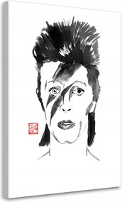 Obraz na plátně David Bowie Péchane 80x120