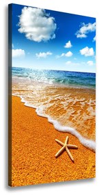 Wallmuralia Vertikální Foto obraz na plátně Hvězdice na pláži 50x100