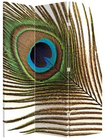 Paraván - Paví peří (126x170 cm)