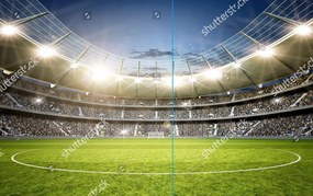 Fototapeta Fotbalový stadion 408 x 256 cm