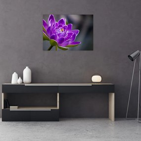 Skleněný obraz květu (70x50 cm)