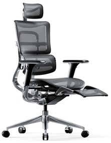 Ergonomická židle DIABLO V-MASTER: černo-šedá Diablochairs