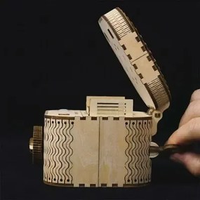 RoboTime 3D dřevěné mechanické puzzle Šperkovnice / od 14 let / 123 dí