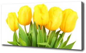 Wallmuralia Foto obraz na plátně do obýváku Žluté tulipány 100x50