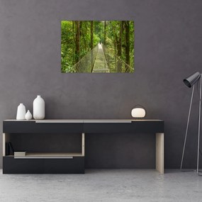Obraz - Závěsný most (70x50 cm)