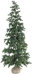 Zelený vánoční stromek v jutě Fleur Fir - 210cm