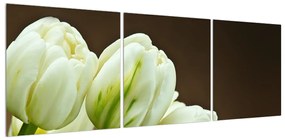 Obraz tulipánů  (120x40 cm)