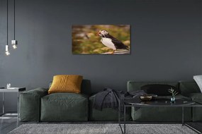 Obrazy na plátně Papoušek 140x70 cm