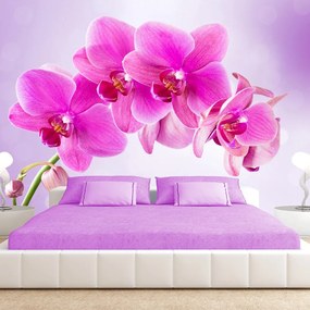 Samolepící tapeta růžová orchidej - Thoughtfulness