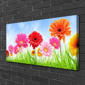 Obraz na plátně Květiny tráva Rostlina 140x70 cm