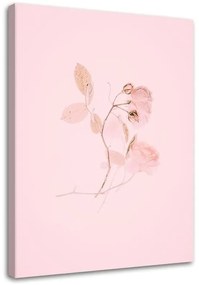Obraz na plátně Květina Příroda Růžová - 60x90 cm
