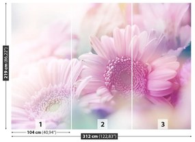 Fototapeta Růžové květy 104x70