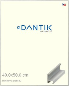DANTIK rámeček 40x50 | ALU profil 6030 Dýha barevná šedá světlá (Sklo Čiré)