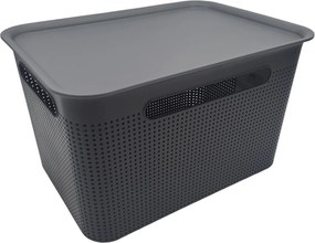 Rotho Úložný box s madly BRISEN 16l, 36x26,2x21cm, černý