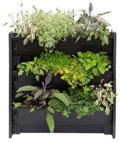 LIKO-S a.s. Set 3 ks Plantbox - truhlík pro vertikální pěstování