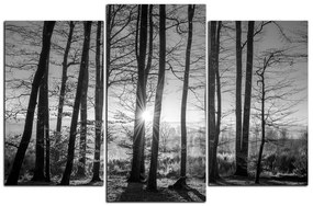 Obraz na plátně - Podzimní ráno v lese 1251QC (105x70 cm)
