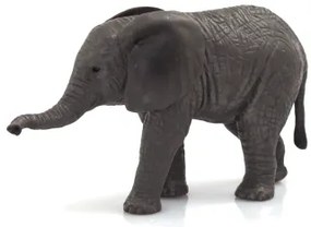 Mojo Slon africký slůně