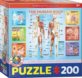 EUROGRAPHICS Puzzle Lidské tělo / 200 dílků / 48,3 x 33 cm