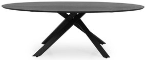 TENZO Oválný jídelní stůl COX 240x120cm 9003708916