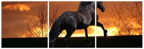 Obraz koně (120x40 cm), 40 dalších rozměrů