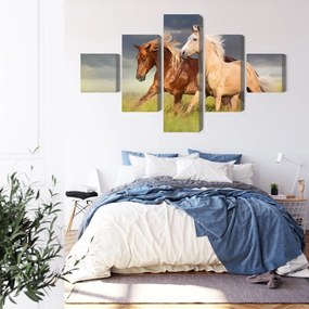Vícedílný obraz Koně Cválající Na 3D Louce Nedostatek Nedostatek Plátno Canvas 250x150