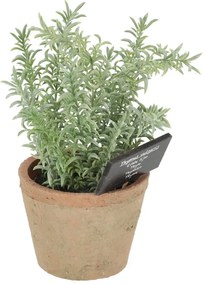 Umělá rostlina (výška 21,5 cm) Thyme – Esschert Design