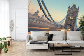 Fototapeta London Tower Bridge Hladký vinyl 90x60