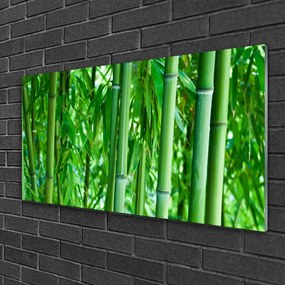 Obraz na skle Bambus Stonek Rostlina 140x70 cm