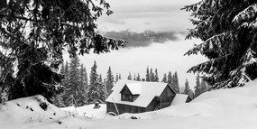Obraz dřevěný domek u zasněžených borovicích v černobílém provedení - 120x60 cm