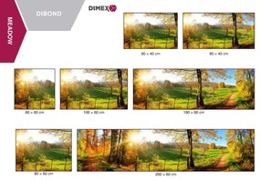 DIMEX | Dibond za kuchyňskou linku DBW-18060-083 | 180 x 60 cm | Louka