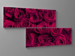 Liox Obraz červené růže Rozměr: 100 x 50 cm