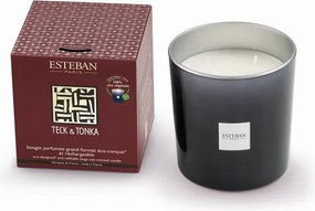 Esteban Paris Vonná svíčka 480 g Vůně Teck and Tonka