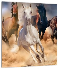 Obraz - Koně v poušti (30x30 cm)