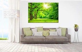 Malvis ® Obraz Lesní mýtinka Velikost: 150x100 cm