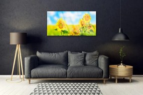 Plexisklo-obraz Slunečnice Květiny Příroda 100x50 cm