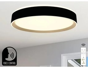 LED Stmívatelné stropní svítidlo s hlasovým ovládáním OPAL LED/48W/230V + DO