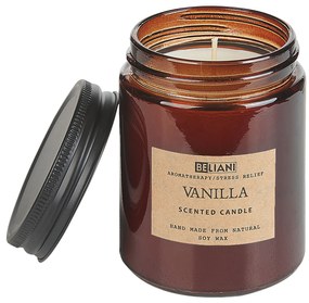 Svíčka ze sójového vosku a difuzér s tyčinkami s vůní vanilky DARK ELEGANCE Beliani