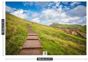 Fototapeta Ostrov Madeira 104x70