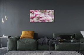 Obraz na skle květy 125x50 cm