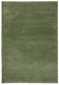 Flair Rugs, Kusový koberec Shaggy Teddy Olive, 120x170, zelená, ložnice