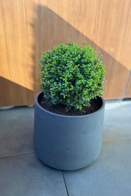 Květináč TROPICO, sklolaminát, výška 29 cm, antracit
