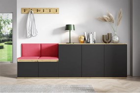 Eka Předsíňová stěna s čalouněnými panely Trinity 35 - Dub Artisan s černou / Červená 2309