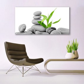 akrylový obraz Kameny Listy Umění 120x60 cm
