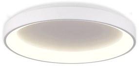 ACB Iluminacion Stropní LED svítidlo GRACE, ⌀ 58 cm, 50W, CRI90 Barva: Bílá, Teplota světla: 4000K - denní bílá, Stmívání: Casambi
