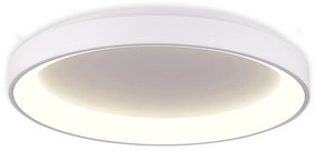 ACB Iluminacion Stropní LED svítidlo GRACE, ⌀ 58 cm, 50W, CRI90 Barva: Bílá, Teplota světla: CCT switch 2700/3000K, Stmívání: DALI/PUSH